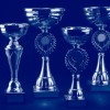 Participation Trophies: How They Benefit Your Students