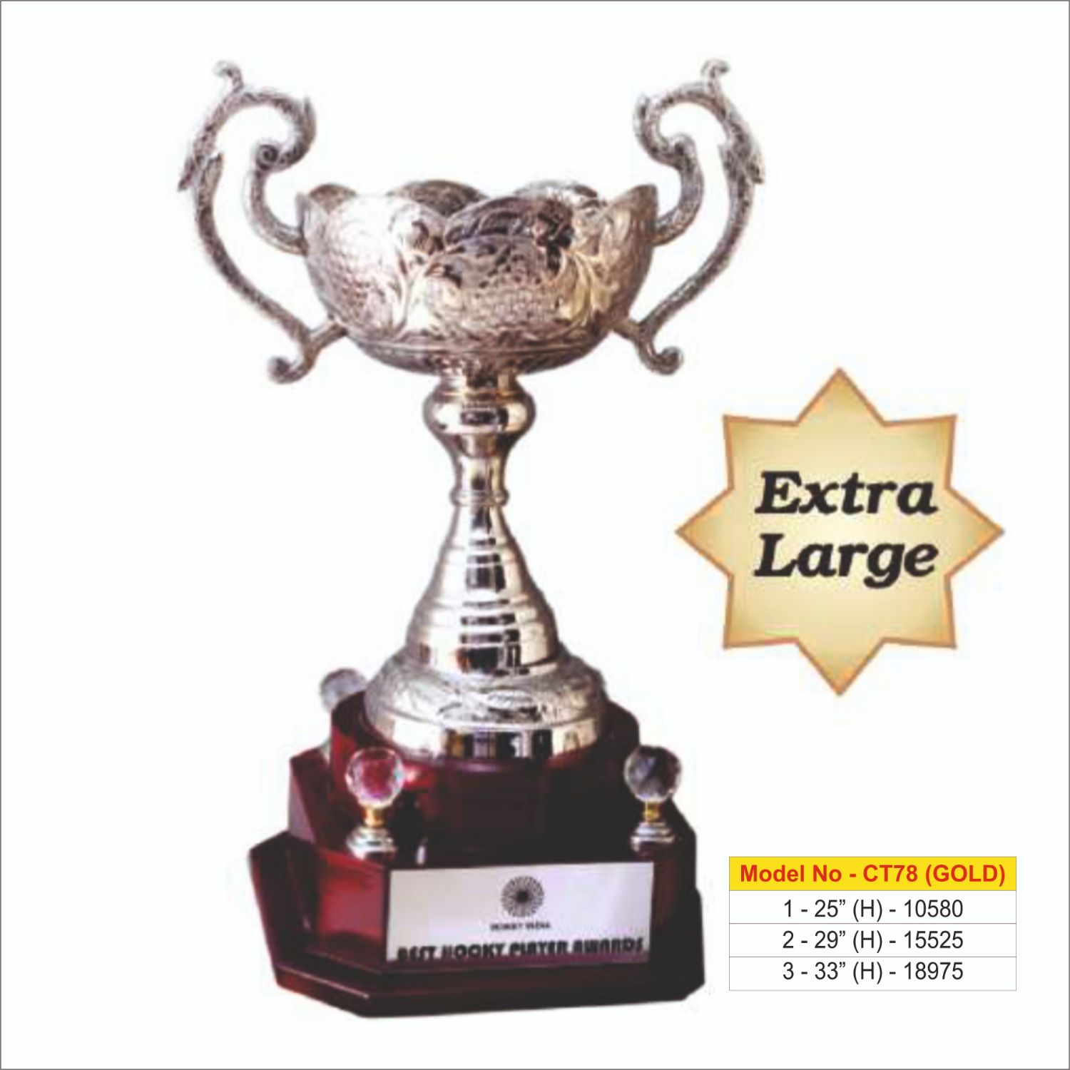 Best Trophy Manufacturer in Delhi And NCR - Benson Trophies