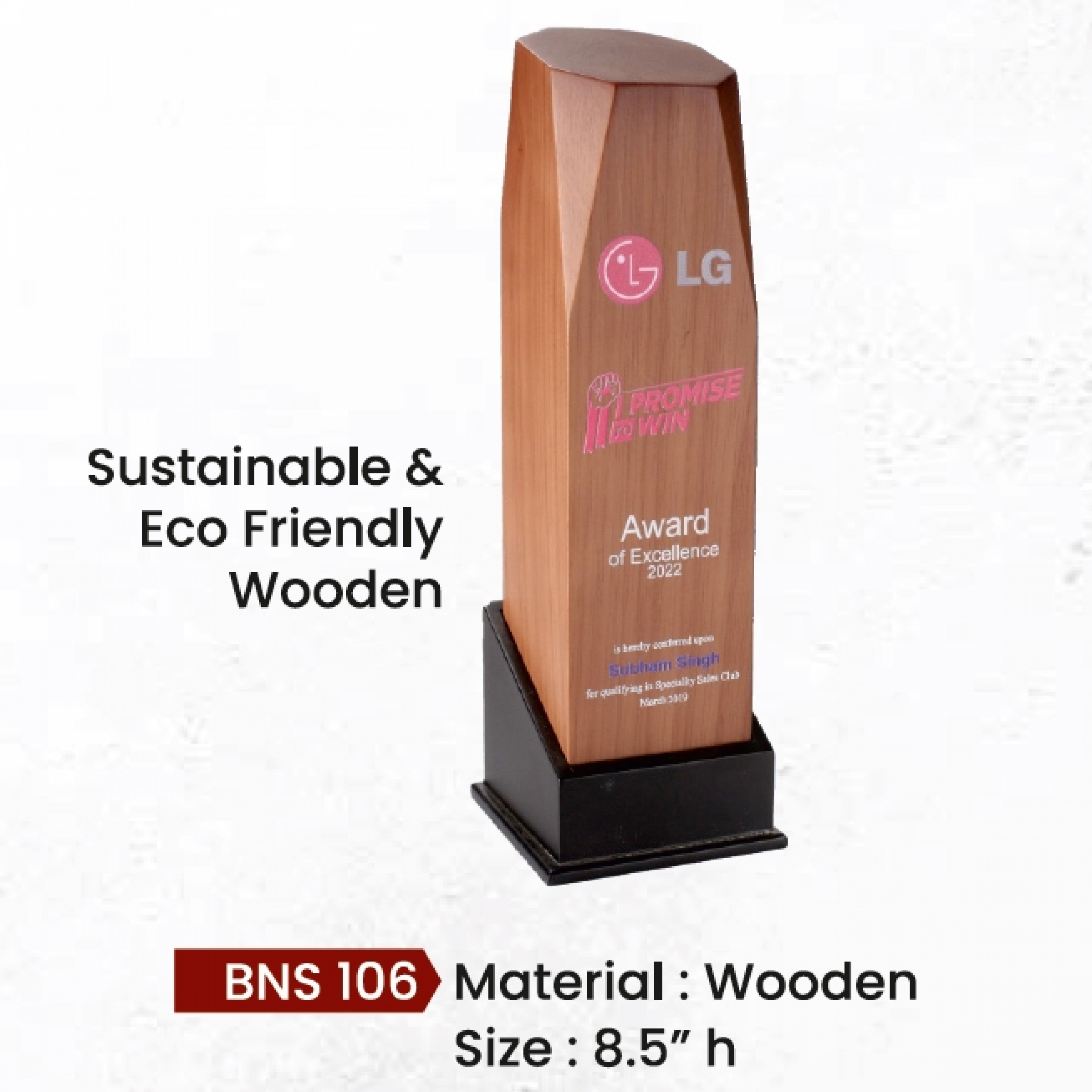Eco Friendly Trophies And Awards in Delhi